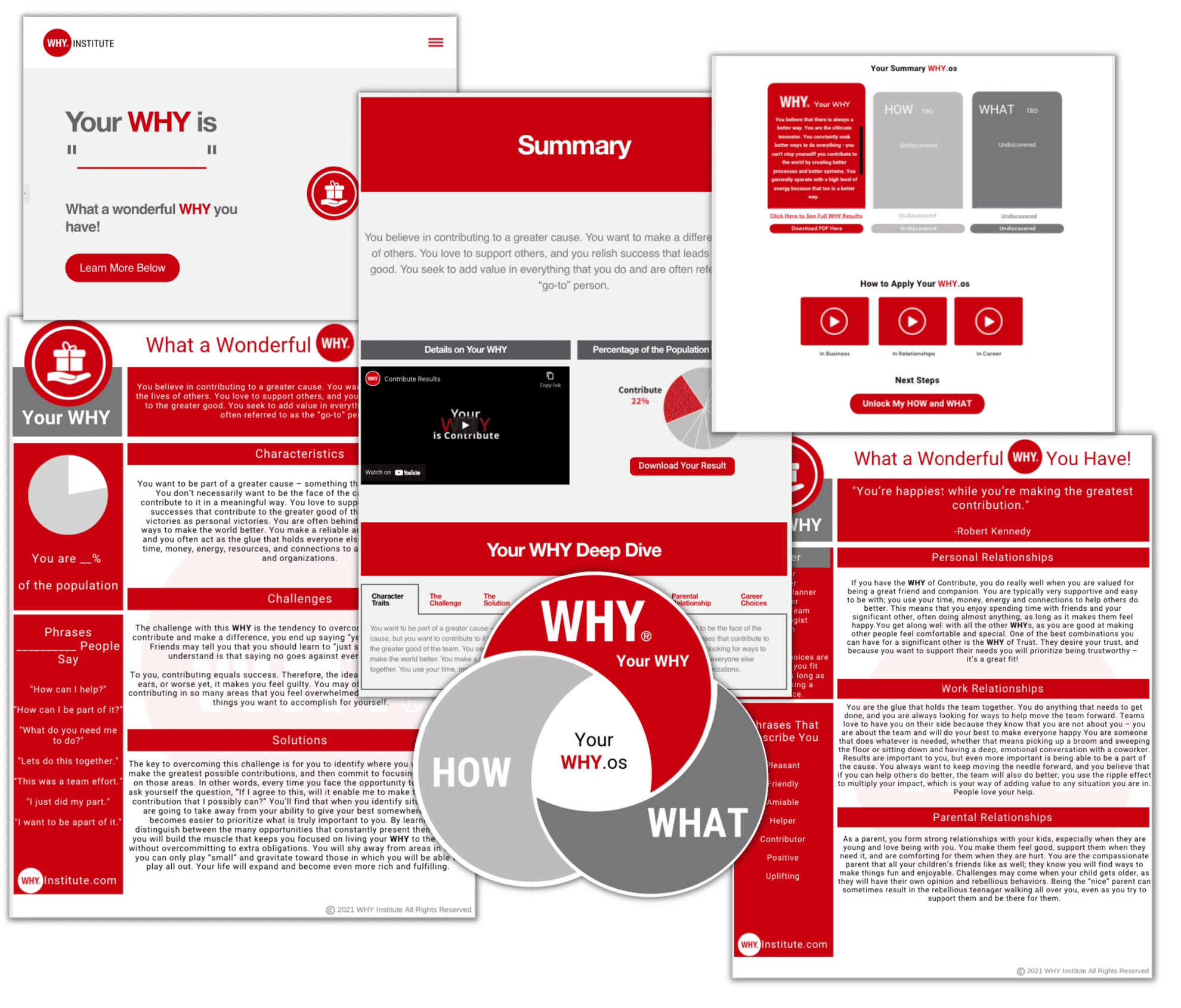 WHY Discovery - WHY Institute