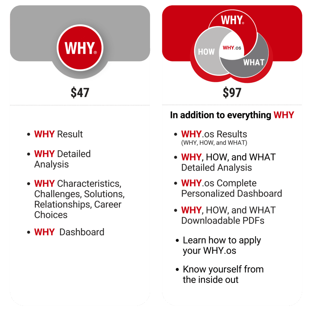 WHY in Life - WHY Institute