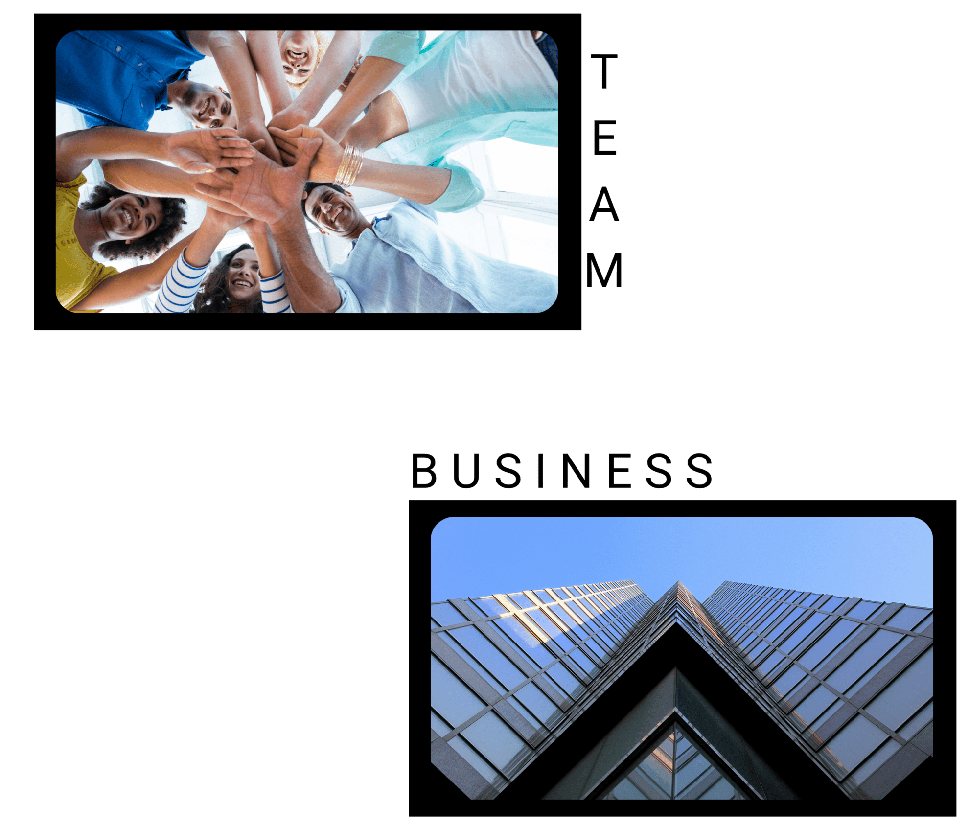 WHY in Business – WHY Institute